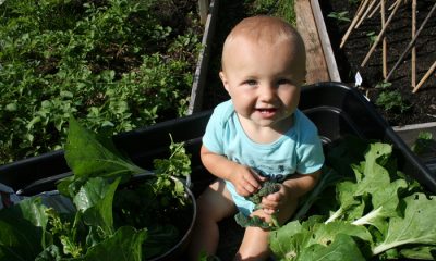 Homesteading with Kids - Countryside